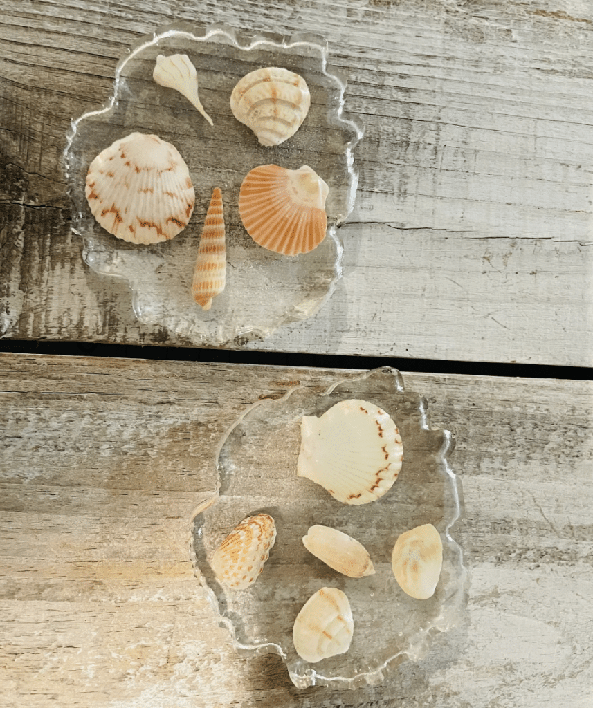 25 Creative Ways To Display Seashells - How To Display Seashells - Keep ...