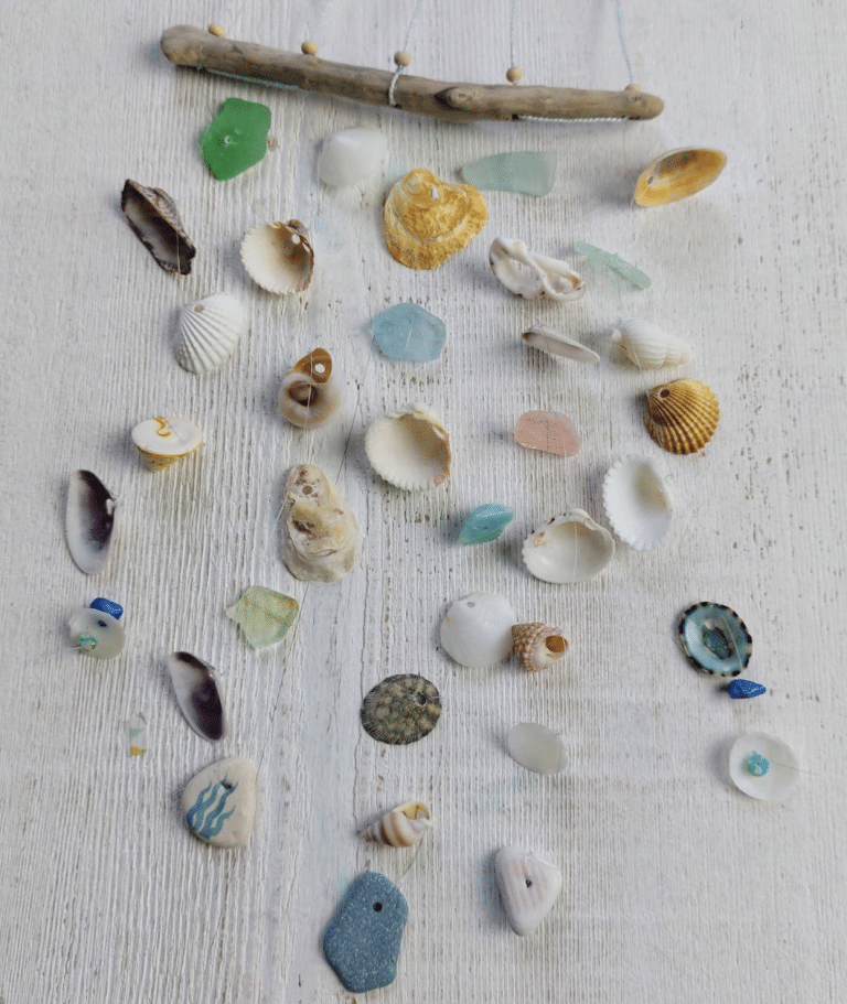 25 Creative Ways To Display Seashells - How To Display Seashells - Keep ...