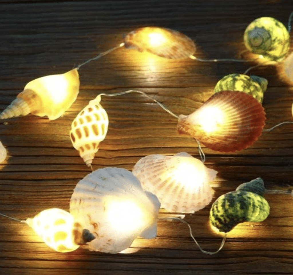 25 Creative Ways To Display Seashells - How To Display Seashells - Keep ...