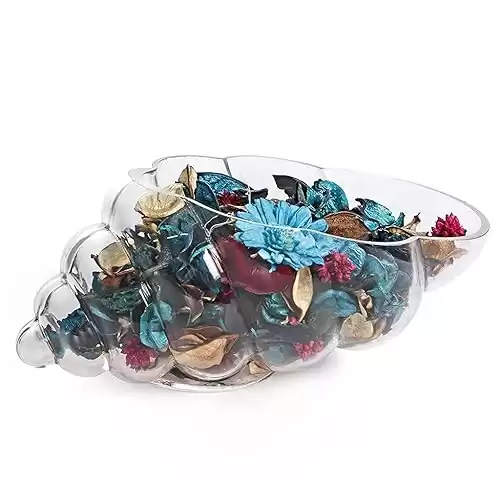 25 Creative Ways To Display Seashells - How To Display Seashells - Keep ...